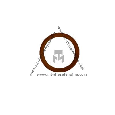 Cina Anello di tenuta 01118737 1118737 0111 8737 Per motore DEUTZ TD3.6 in vendita