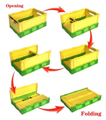 Китай Складываемый складываемый ящик для фруктов овощей Хранение внутренний размер 475*305*210 мм продается