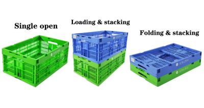 China Multi-functional Foldable Heavy Duty Plastic Injection Vegetable Fruit Crate Storage Box for sale