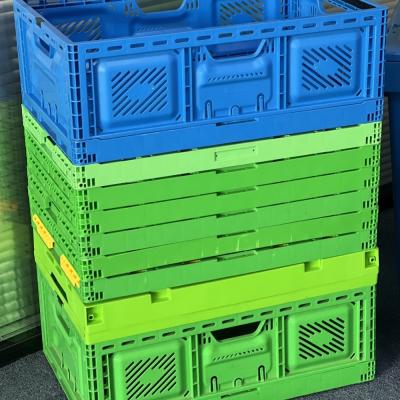 China Mesh Style Collapsible Plastic Storage Moving Box Foldable and Durable for Vegetables for sale