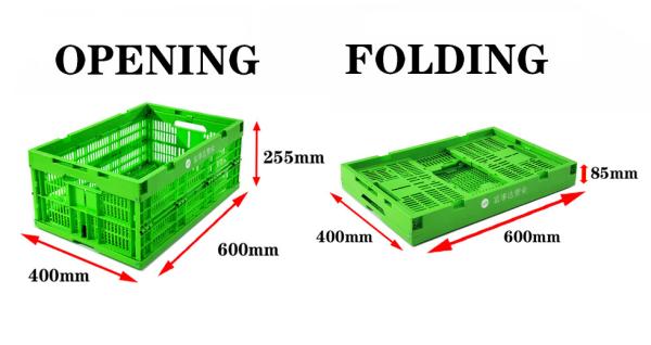 Quality 600×400×255 Mm Collapsible Plastic Crate For Fresh Produce – Foldable, Ventilated Storage Box for sale
