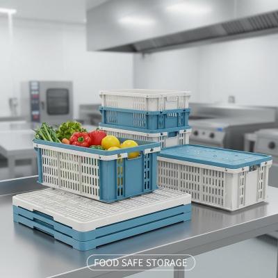 China Foldable Custom Plastic Crates Featuring Ventilated or Solid Sides Suitable for Food Safety and Hygiene Compliant Storage for sale