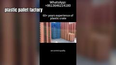 Plastic Pallet Manufacturing with Custom Color Options