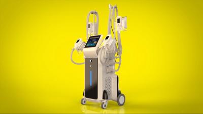China Freezing fat cells Cryolipolysis cool shaping body sculpting machine for sale