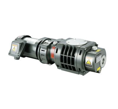 Cina Pompa per vuoto a radici meccanica booster da 30L/S, bassa rumorosità, resistenza alla corrosione in vendita