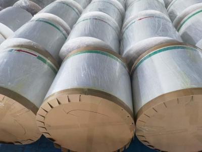 Cina Carta oleosa di silicone a rotolo grande con materiale di rivestimento privo di solventi in vendita