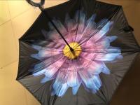 China Reversible Print Womens Collapsible Sun Umbrella With Double Layer Canopy for sale