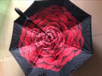 China Reversible Print Womens Collapsible Sun Umbrella With Double Layer Canopy for sale