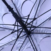 China Auto open Double Layer Canopy Vented Umbrella Compact With EVA Foam Straight Handle for sale