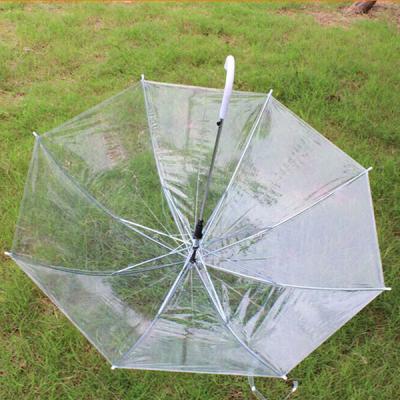 Cina Foto impermeabile di nozze della maniglia di EVA della pioggia di Sun della radura dell'ombrello di plastica lungo della cupola in vendita