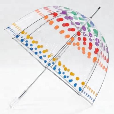 Cina La radura di POE vede attraverso ad ombrello la canna lunga signora trasparente diritta Umbrella in vendita