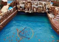 China Theme Park Water Surfing Machine Central Control 1.8m Depth For Public for sale