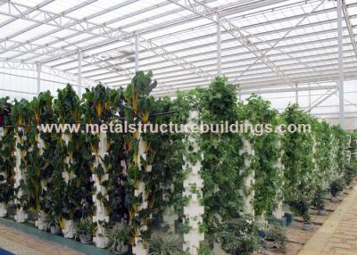 China projetos de casas steel frame , telhado steel frame Easy Install to Africa for sale