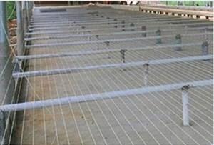 Cina cavo del poliestere di agricoltura di 2mm per i frutteti delle vigne 730 CN/Dtex in vendita