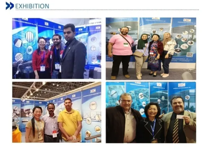 Customized Special Conveyor Transmission Roller Chain for Industrial Usage with Attachment