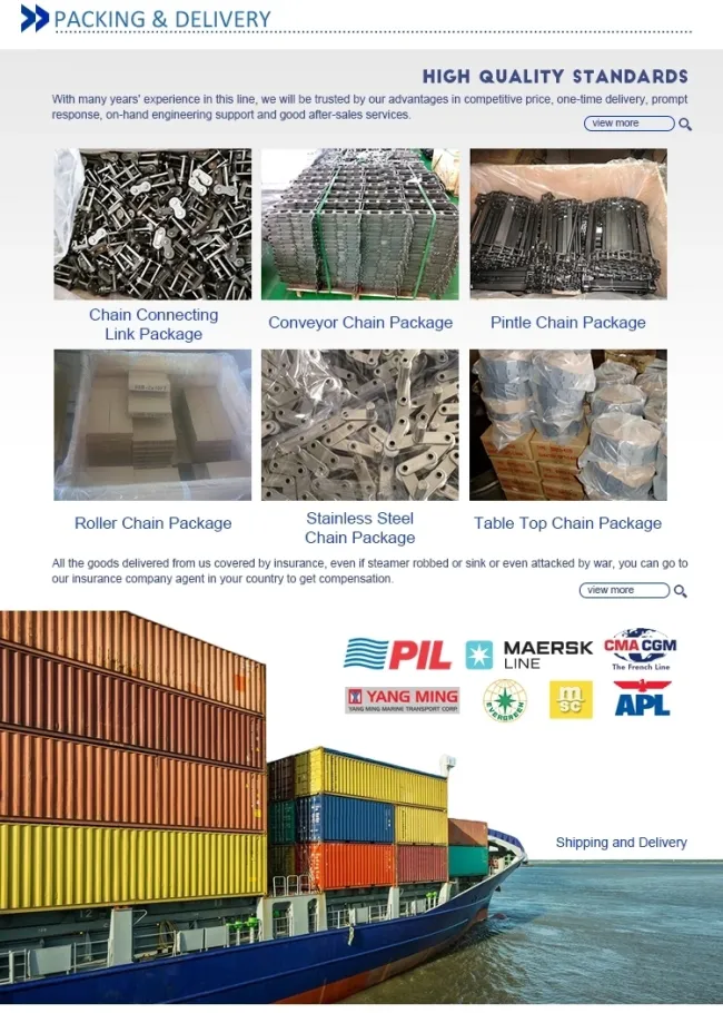 High Quality Roller Chains API Approved Multiple Strands Oil Field Chain for Petroleum Equipment