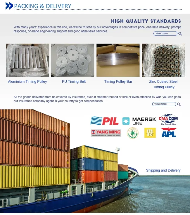 Long Pitch Transmission Chain with Attachment