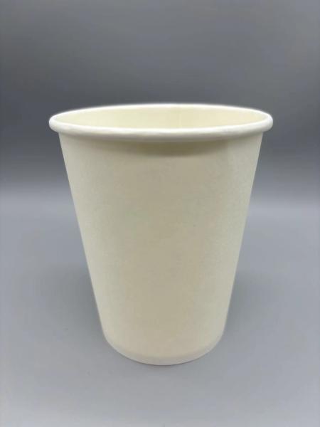 Disposable Biodegradable Hot And Cold Drinks Paper Cups With Custom Logo