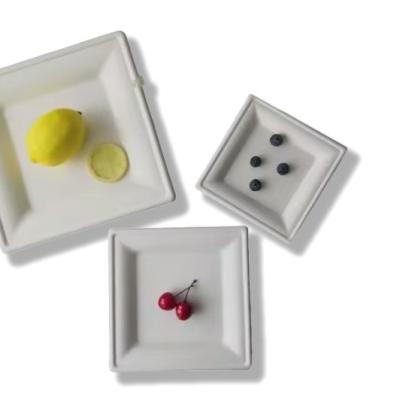 Cina 6 pollici Disposable Bagasse Compostabile Piatti di carta quadrati Piatti di cena quadrati Large Biodegradabile in vendita