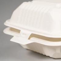 China 700ml capacity biodegradable compostable corn starch clamshell food box packaging box for sale
