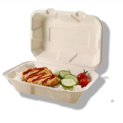 China Restaurante 600ml Pulp Food Container Compostable Takeaway Box For Food Packaging for sale