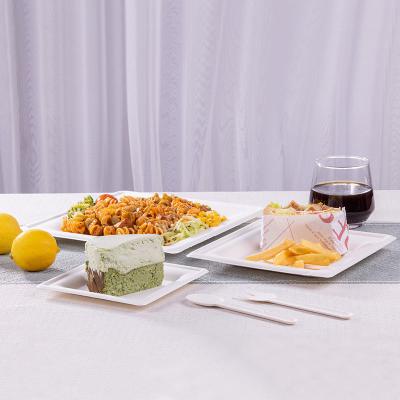 China Takeaway Paper Containers Square Paper Plate For Takeout No Oil for sale