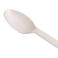 China 160mm CPLA Biodegradable Plastic Spoons for sale
