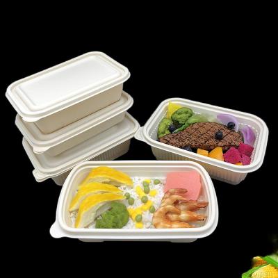 China Customizable Compostable To Go Containers 380ml/500ml/650ml/750ml/1000ml for sale
