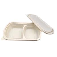 China Camping And School 800ML Cornstarch Compostable Two Compartments Lunch Boxes for sale