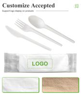 China 160mm CPLA Biodegradable Plastic Spoons for sale