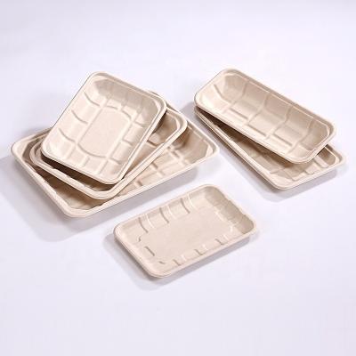 China Supermarket Bagasse Food Tray Disposable Food Grade Various Sizes Available for sale