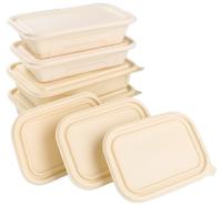 China Camping And School 800ML Cornstarch Compostable Two Compartments Lunch Boxes for sale