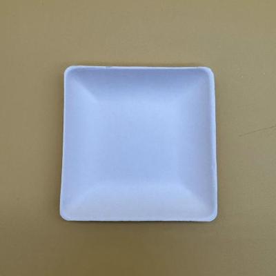 Venta al por mayor Disponible Degradable Rectangular Plato de Sushi Empapado Platillo Encaja Sushi Dumplings Snack Chips
