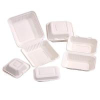 China Compostable Biodegradable Packing disposable bagasse Buger pulp paper box for sale