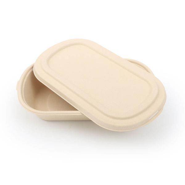 Biodegradable Take Out Food Container Compost 850ml Bamboo Pulp Food Lunch Box With Lid