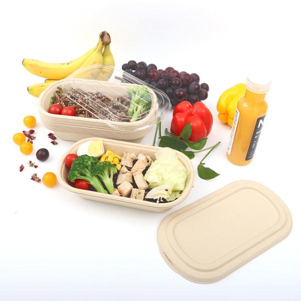 Biodegradable Take Out Food Container Compost 850ml Bamboo Pulp Food Lunch Box With Lid