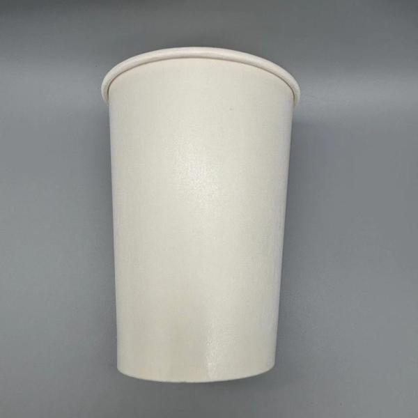 Disposable Biodegradable Hot And Cold Drinks Paper Cups With Custom Logo