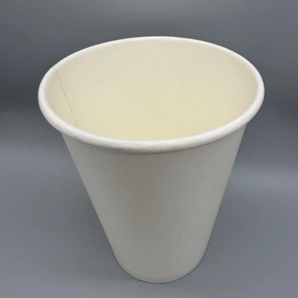 Disposable Biodegradable Hot And Cold Drinks Paper Cups With Custom Logo
