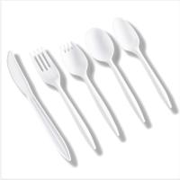 China Eco-Friendly PLA Tableware Disposable Customized Logo CPLA Biodegradable Cutlery Set for sale