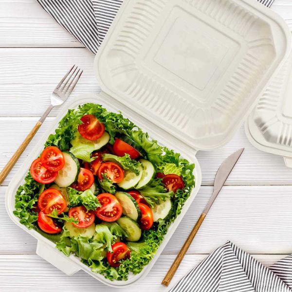 Corn Starch Bento Compartment Eco-Friendly Packaging Disposable Biodegradable Box Food Container