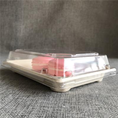 Cina Contenitore alimentare usa e getta in bagassa per pane con coperchio in PET in vendita