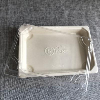 Cina Contenitore alimentare usa e getta in bagassa per pane con coperchio in PET in vendita