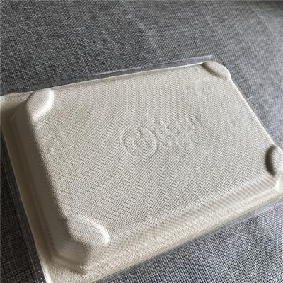 Cina Contenitore alimentare usa e getta in bagassa per pane con coperchio in PET in vendita