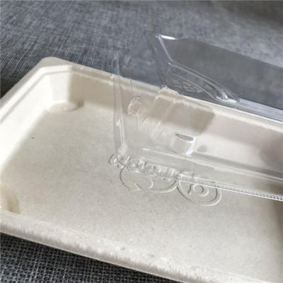 Cina Contenitore alimentare usa e getta in bagassa per pane con coperchio in PET in vendita