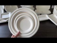 PFAS FREE 6 7 9 10inch Disposable Party Tableware 100% Compostable Disposable Sugarcane Tableware Bagasse Round Plates