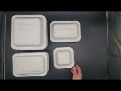 Compostable Disposable Eco-friendly 6