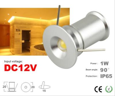 China DC12V Waterproof IP65 recessed Mini LED light 1W Spotlight  Ceilling light for sale