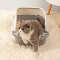 China Pet Cleaning Function Assorted Colors Cat Litter Pan Hassle-Free Cleaning for sale