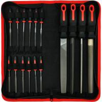 China Tooth Pattern Bidentate Pattern 19PCS T12 High Carbon Steel File Set with Carry Case for sale