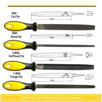 China Tooth Pattern Bidentate Pattern 19PCS T12 High Carbon Steel File Set with Carry Case for sale